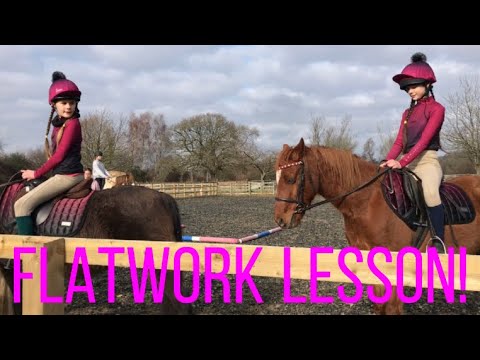 Flatwork Riding Lesson on Billy & Tilly the Ponies! - YouTube