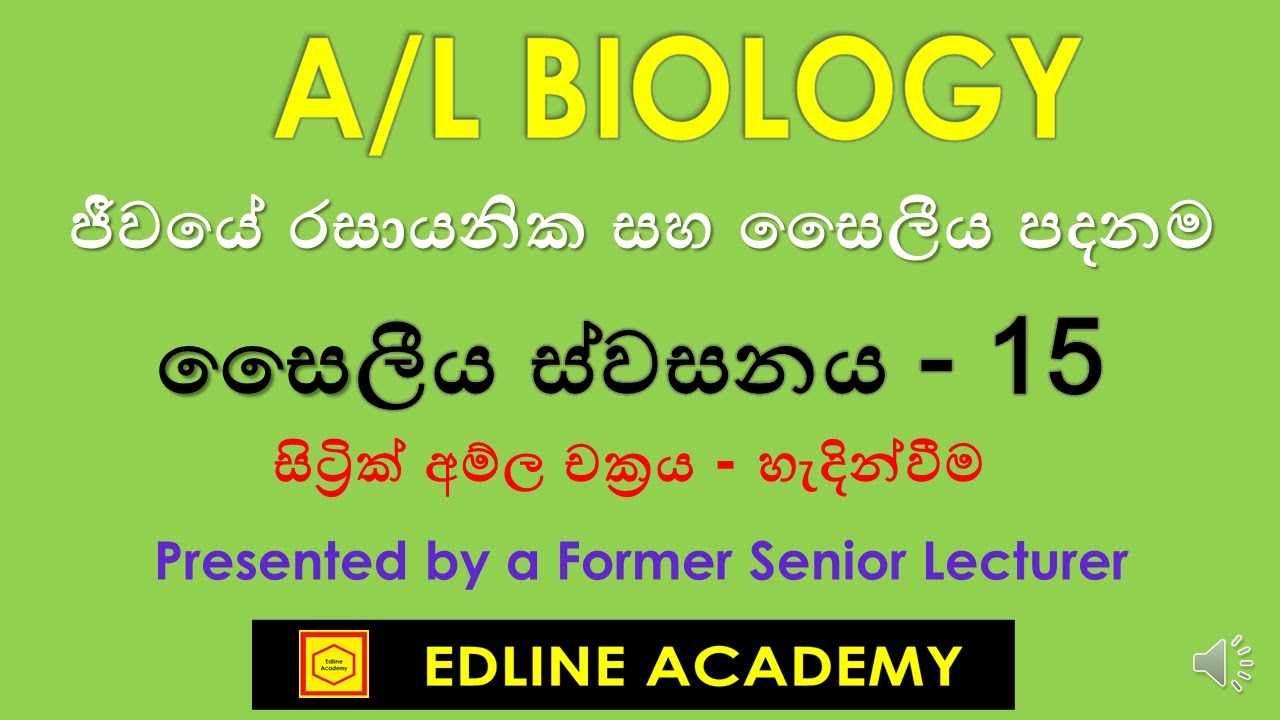 Citric Acid Cycle - Introduction - Cellular Respiration Video No - 16 ...