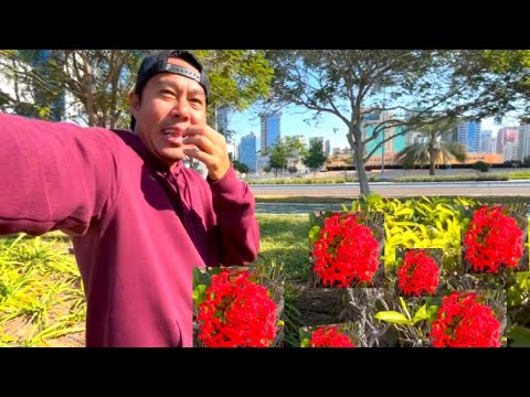 SINIPSIP KO FLOWER NI SANTAN MATAMIS ITO - YouTube