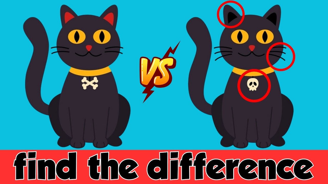 Spot the Differences Between 2 Pictures : Find 3 Differences Game ...