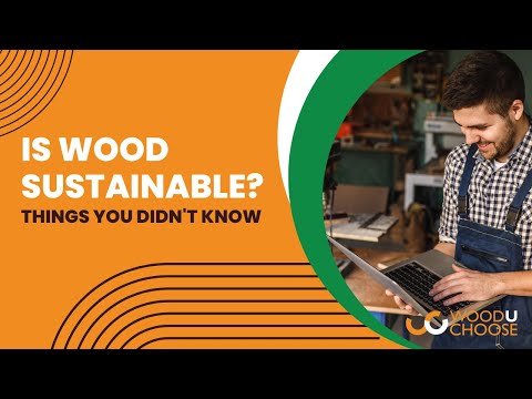 Why Is Wood Described As A Renewable Energy Source