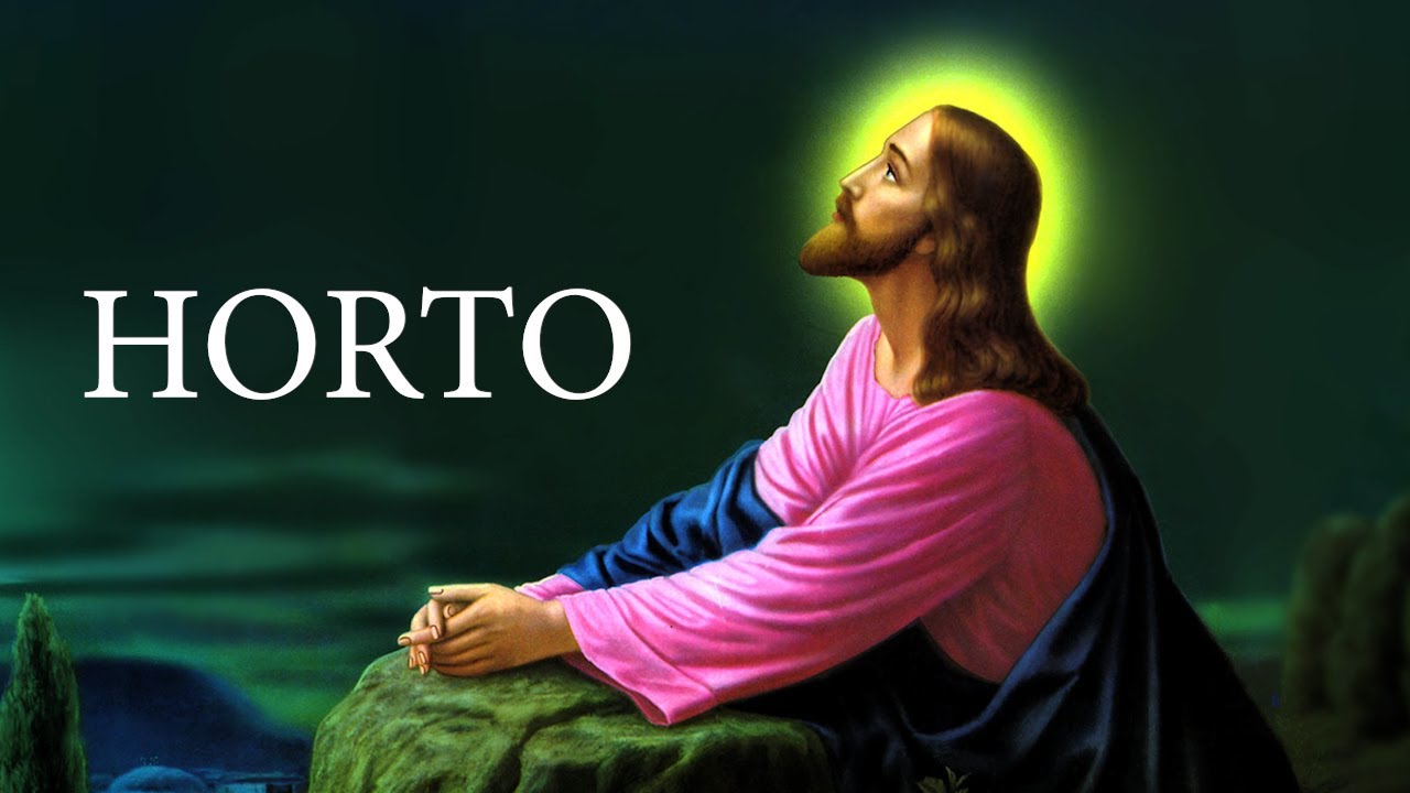 HORTO COM JESUS / 07/11/2024 / CAPELA SAGRADA FAMILIA / AS 22:00 - YouTube