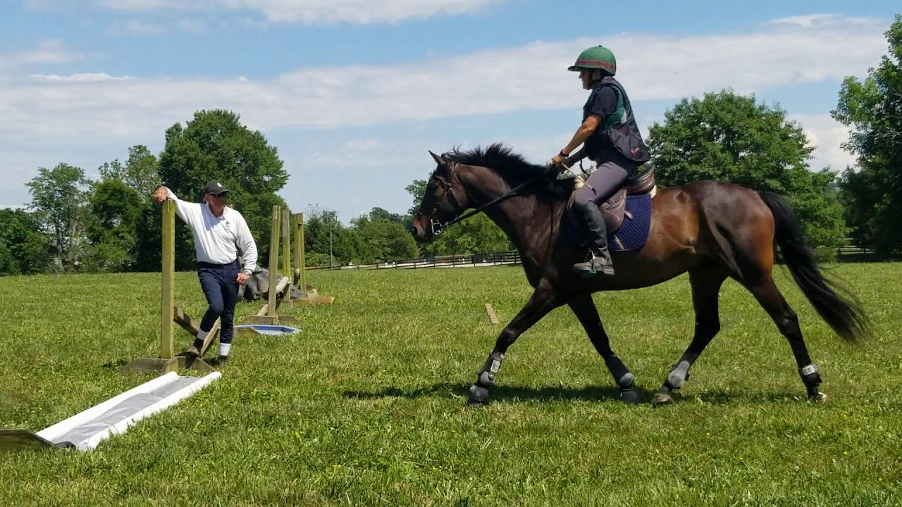 Robin walker clinic 2020 - YouTube