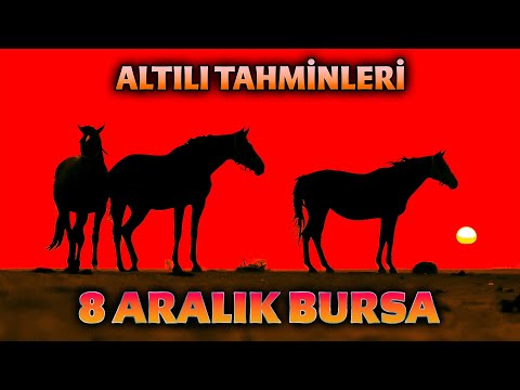 8 Aralık Bursa At Yarışı | Altılı Tahminleri | #tjk #zaferyolu