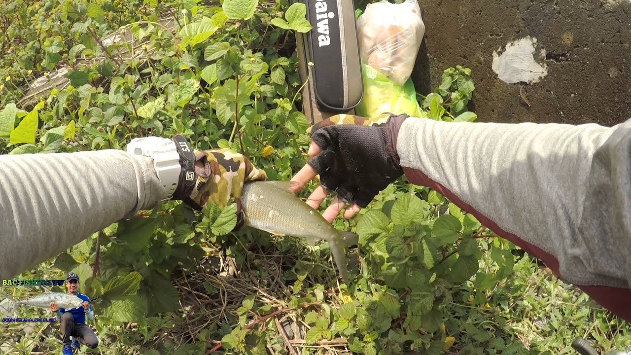 MILK FISH FISHING | CATCH and COOK 😋 - YouTube