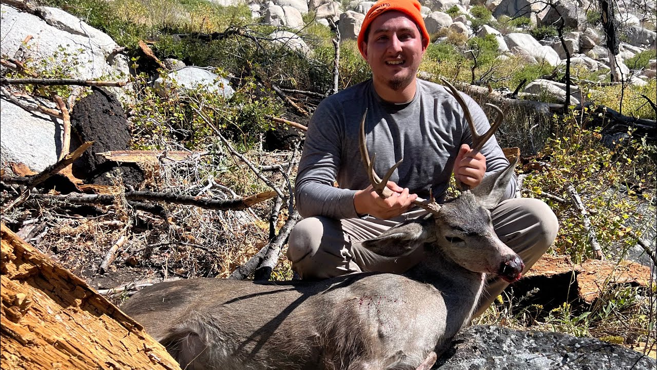 D6 Zone Deer Hunting success 2024 - YouTube