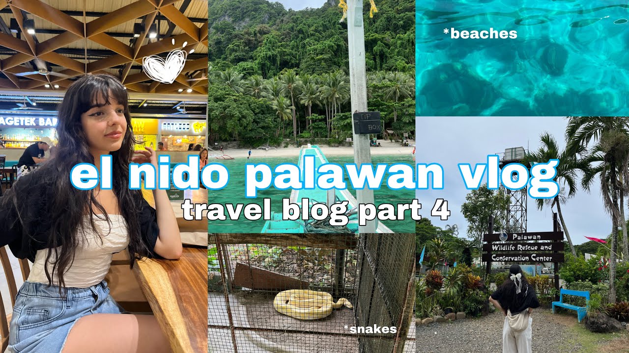 GO TO PALAWAN! 🇵🇭| travel blog part 4 - YouTube