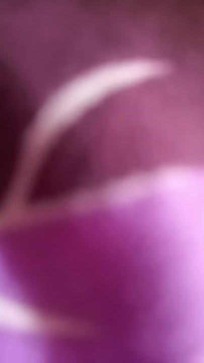 13 June 2024 - YouTube