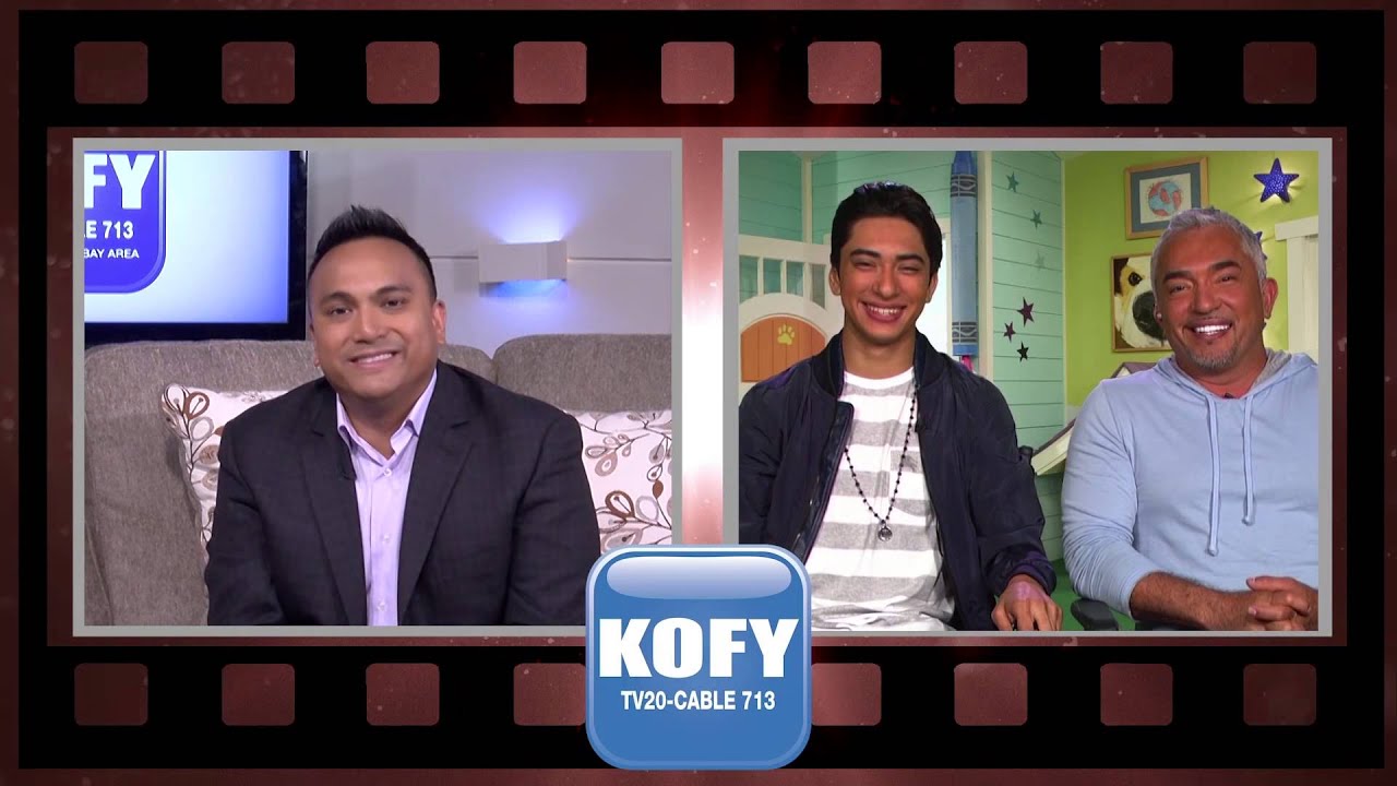 Calvin & Cesar Millan "Mutt & Stuff" Part 2 - YouTube