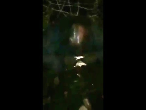 THE CATMAN OF GREENOCK - YouTube