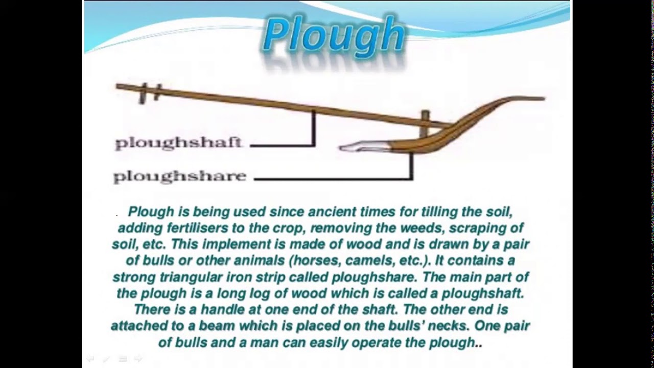 class 8th science chapter 1 ( Lecture 2) - YouTube