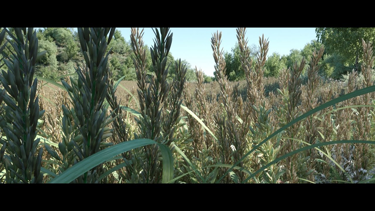 instanced animated plants with root procedural animation - YouTube