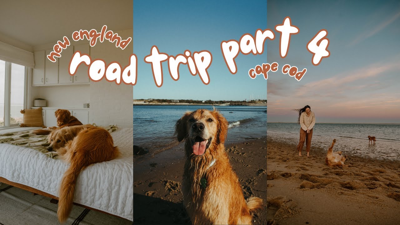 Cape Cod travel vlog | Beach days, Chatham, sunsets 🐚🩵 - YouTube