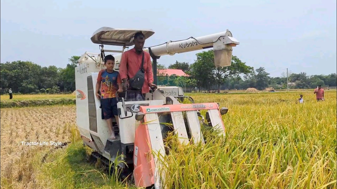 Pro588i-G Machine Harvesting Rice l Hard Working l Tractor Life Style l ...