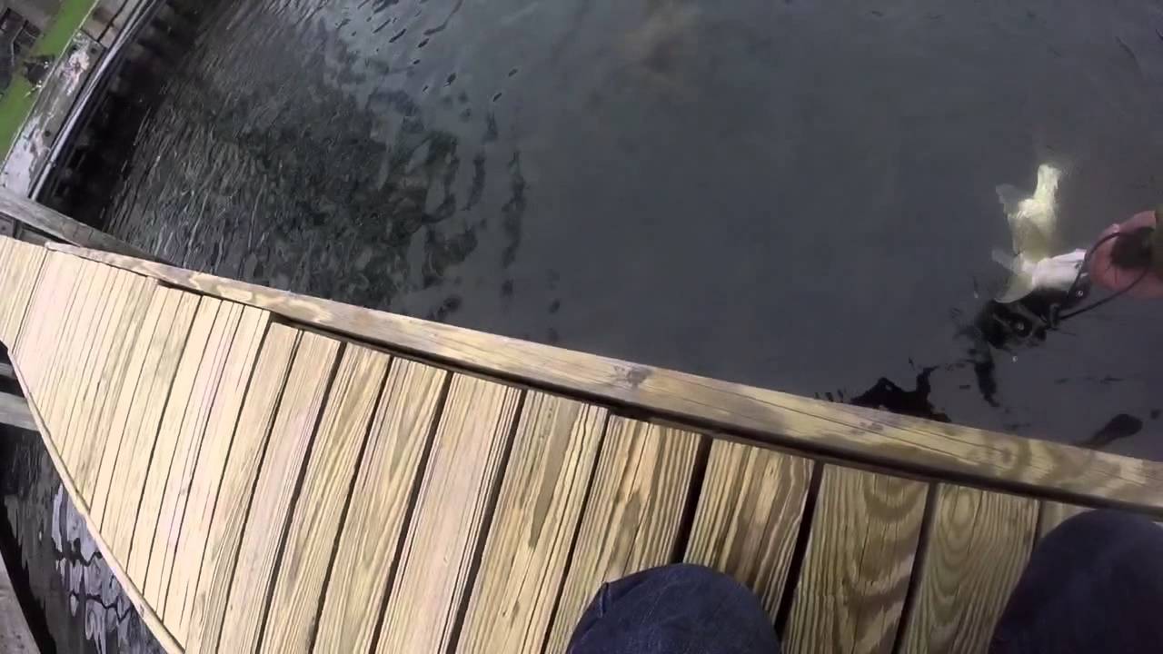 Spring bass fishing ||||| Lake Geneva bassing - YouTube