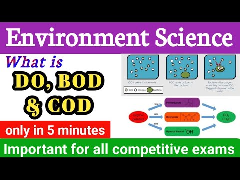 Difference between BOD and COD || DO, BOD & COD || EVS || Environmental Science || Water ...