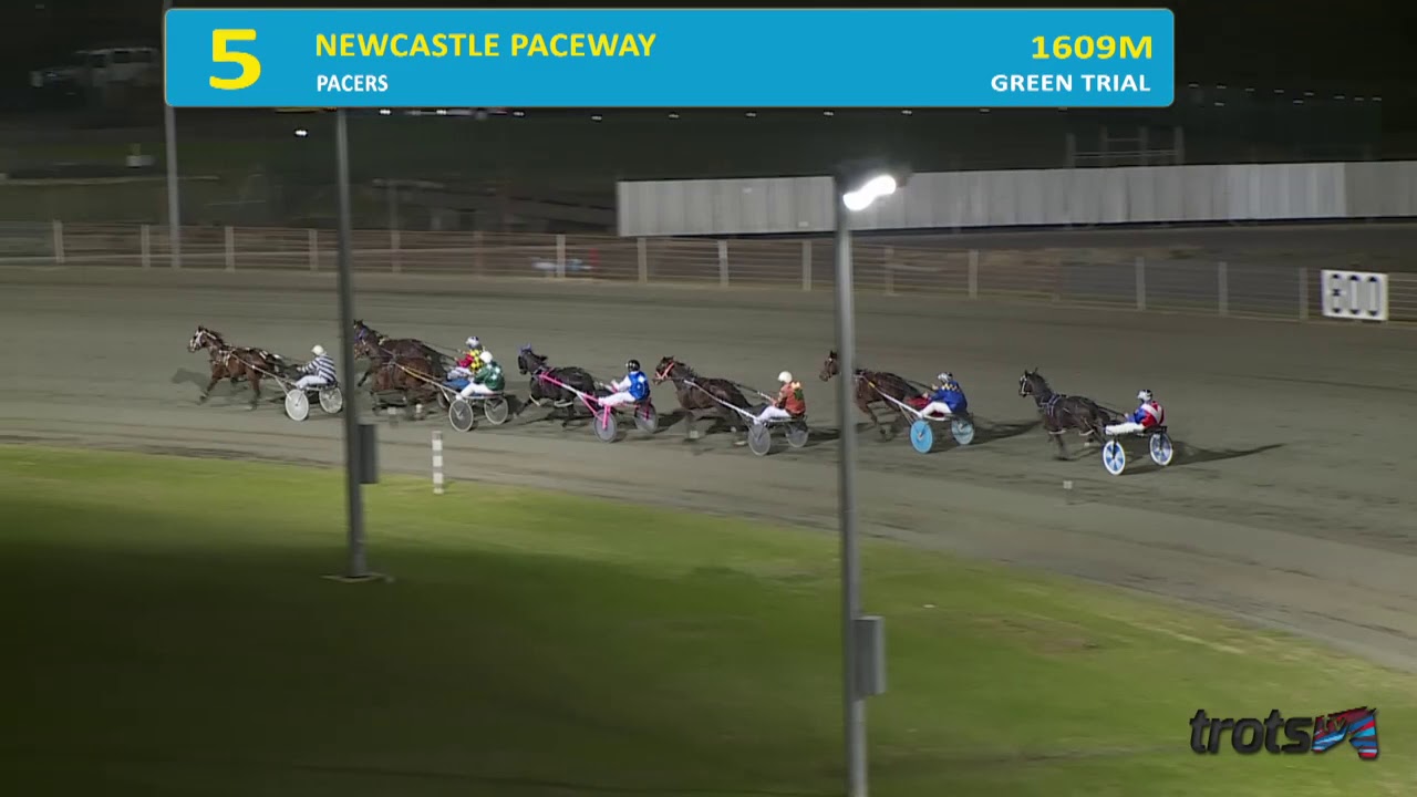 NEWCASTLE - 03/06/2020 - Race 5 - GREEN TRIAL [Trial] - YouTube