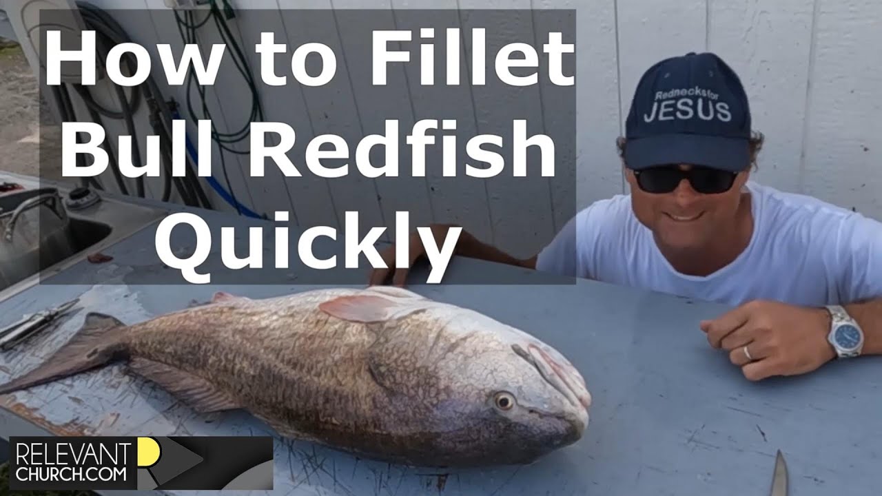Salty 101- How to Fillet Bull Redfish Quickly - YouTube