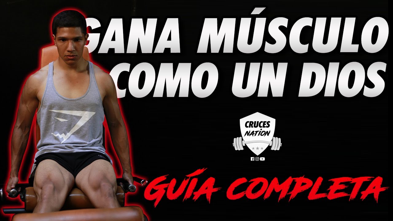 GANA MUSCULO COMO UN DIOS | GUIA PARA PRINCIPIANTES - YouTube