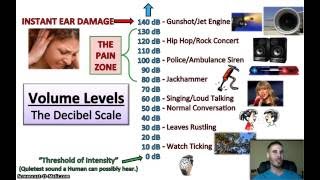 Decibel Chart For Kids