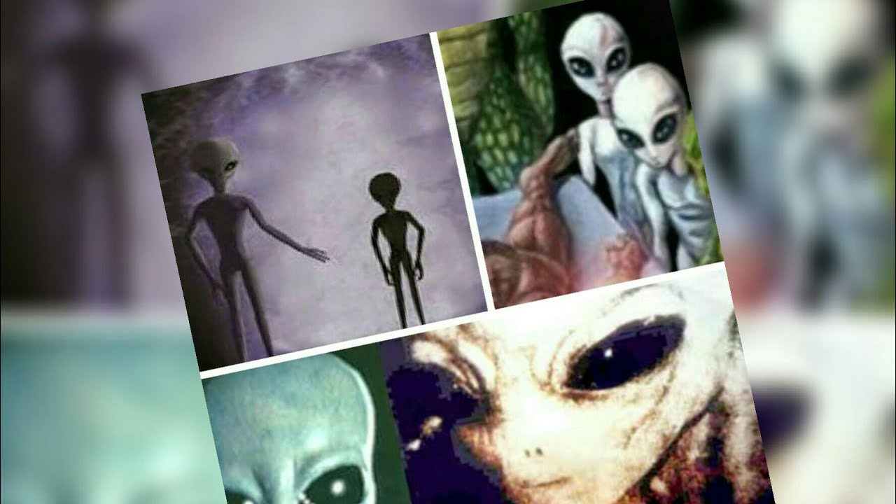 Los grises según Alex Collier contactado por andromedanos (alien) - YouTube