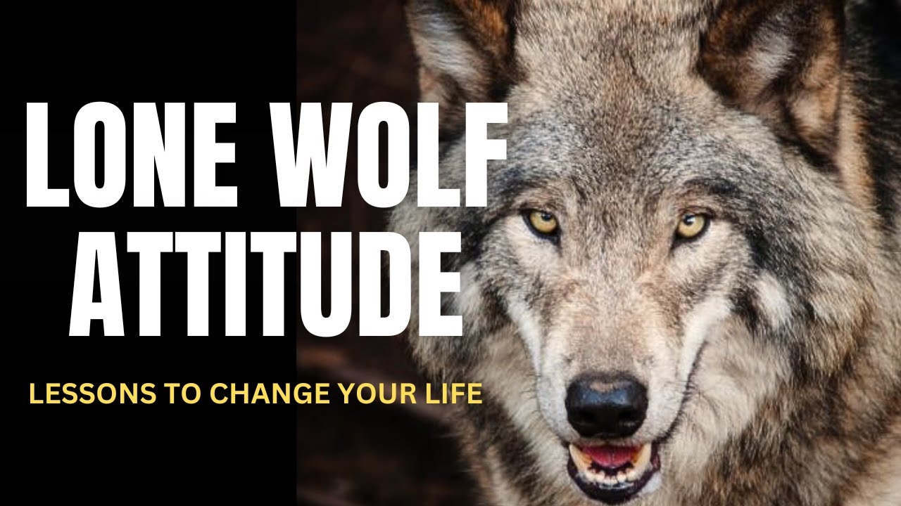 Lone Wolf Attitude - 5 Lessons From The Wolves You Must Learn ...