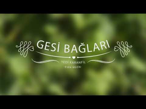 Kubat gesi bağları