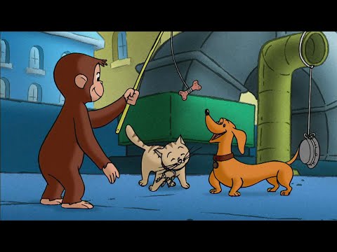 Cocos Tierband | Coco der Neugierige | Cartoons für Kinder