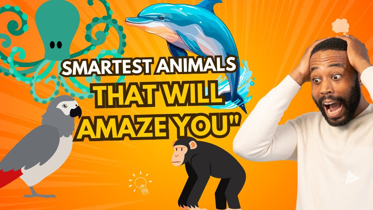 The World’s Smartest Animals: 10 Creatures That Will Amaze You - YouTube