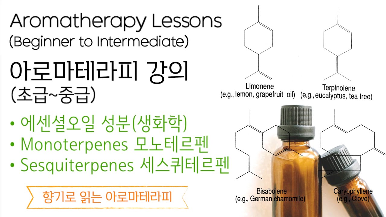 에센셜오일 화학, 테르펜 Terpenes (아로마테라피 강의-6) Aromatherapy Class - YouTube