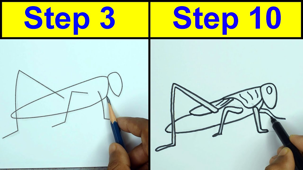 How to Draw a Grasshopper with Pencil and Sketch Pen | Easy Step-by ...