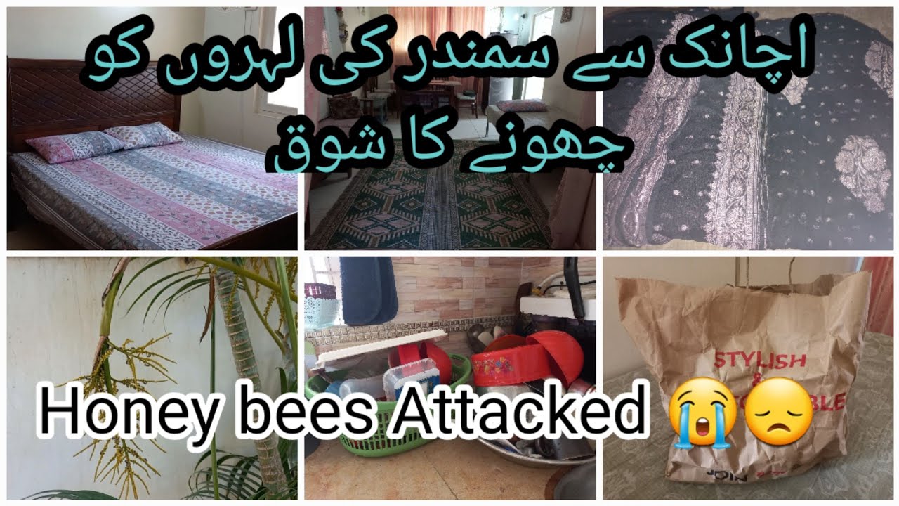 Honey bees Attacked 😭😞 || Allah ne bacha liya mujhe|| Amina lifestyle in Karachi - YouTube