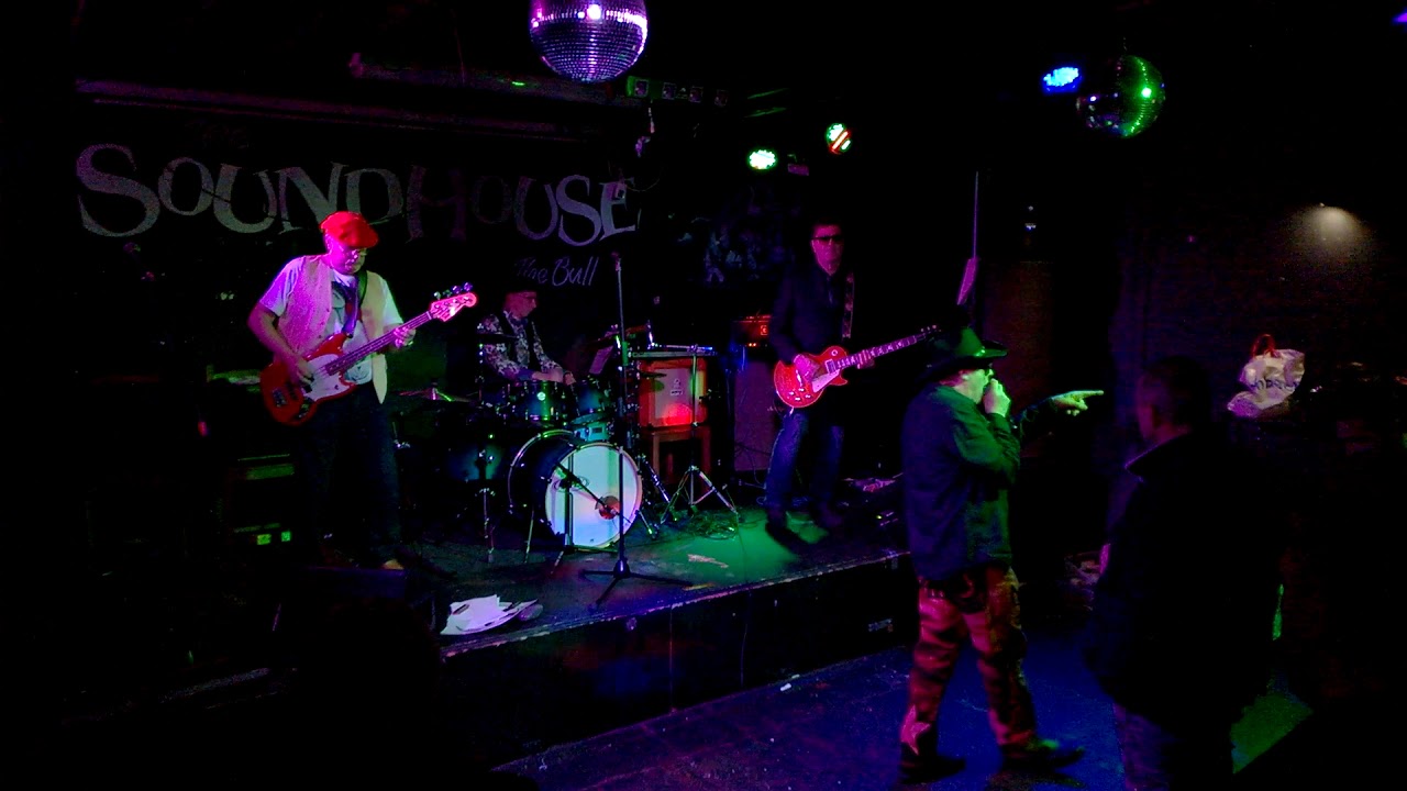 The Groovy Arts Club Band: Live - 'I Love My Toyota' & 'Are You A ...