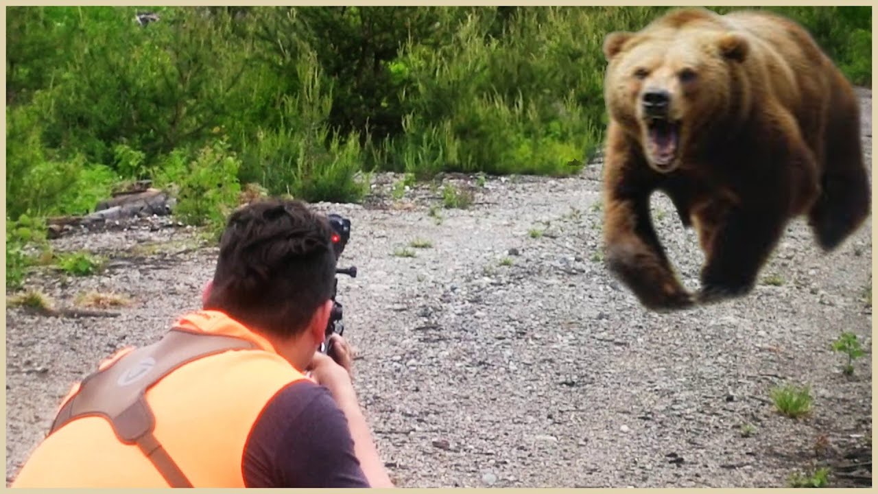 Full Video: How Do American Hunters And Farmers Deal With Million Of ...