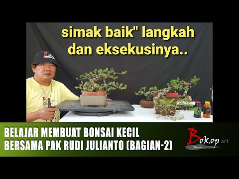 BELAJAR MEMBUAT BONSAI KECIL BERSAMA PAK RUDI JULIANTO (bagian-2)