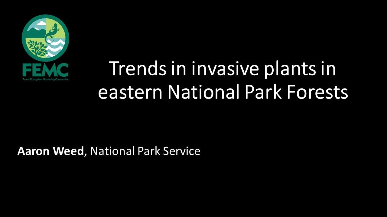 Trends in invasive plants in eastern National Park forests - Aaron Weed ...