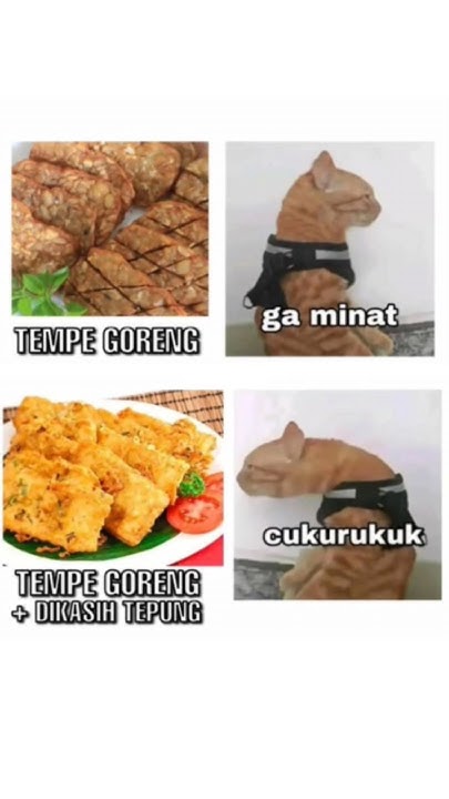 MEME RANDOM tempe goreng #meme #memesdaily #lucu - YouTube