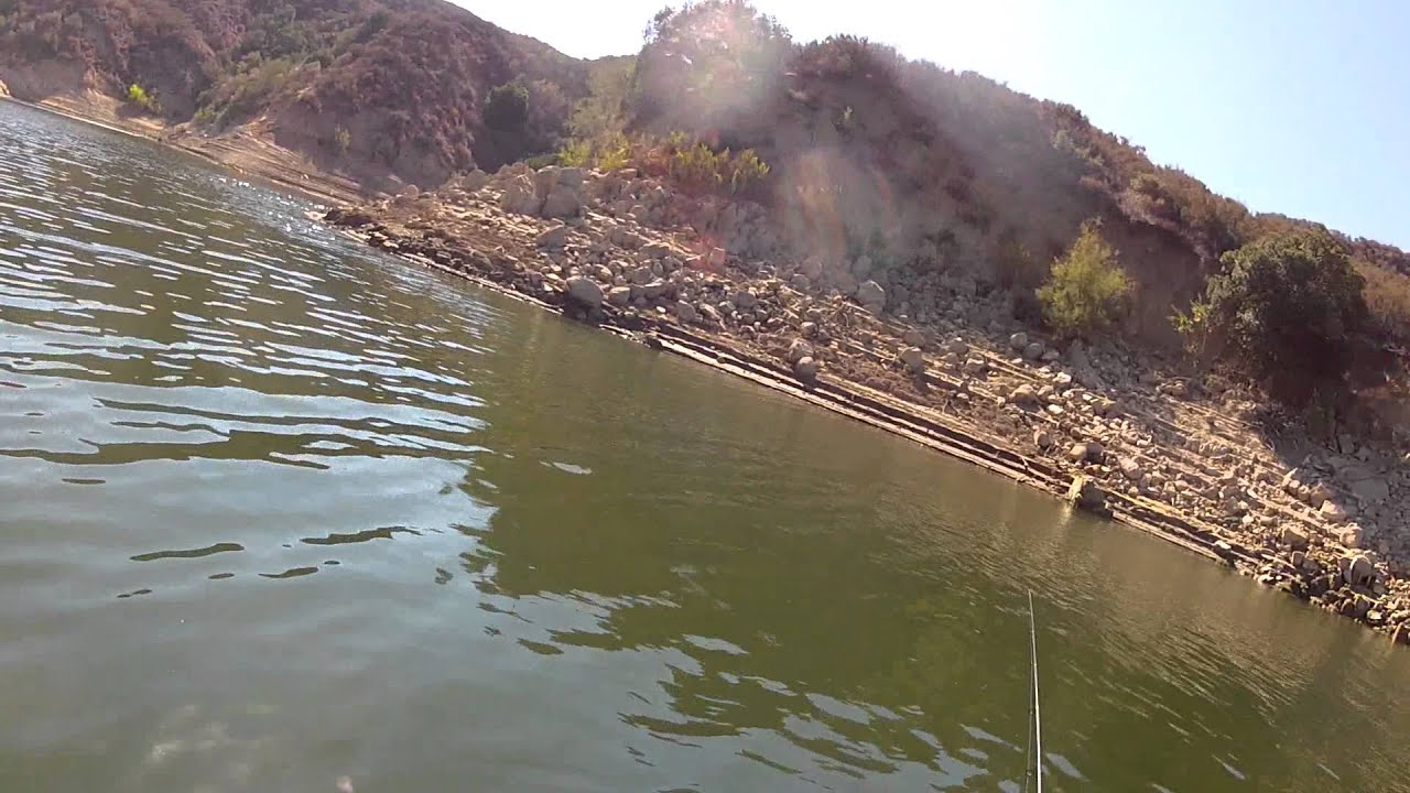 Castaic lake shad attack - YouTube