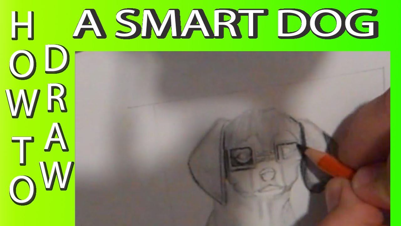 How to draw a Smart Dog. - YouTube
