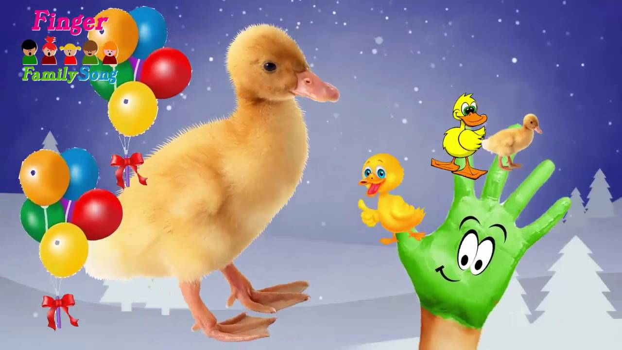 Pato – La Familia de Dedos Videos Educativos para Niños En Español ...