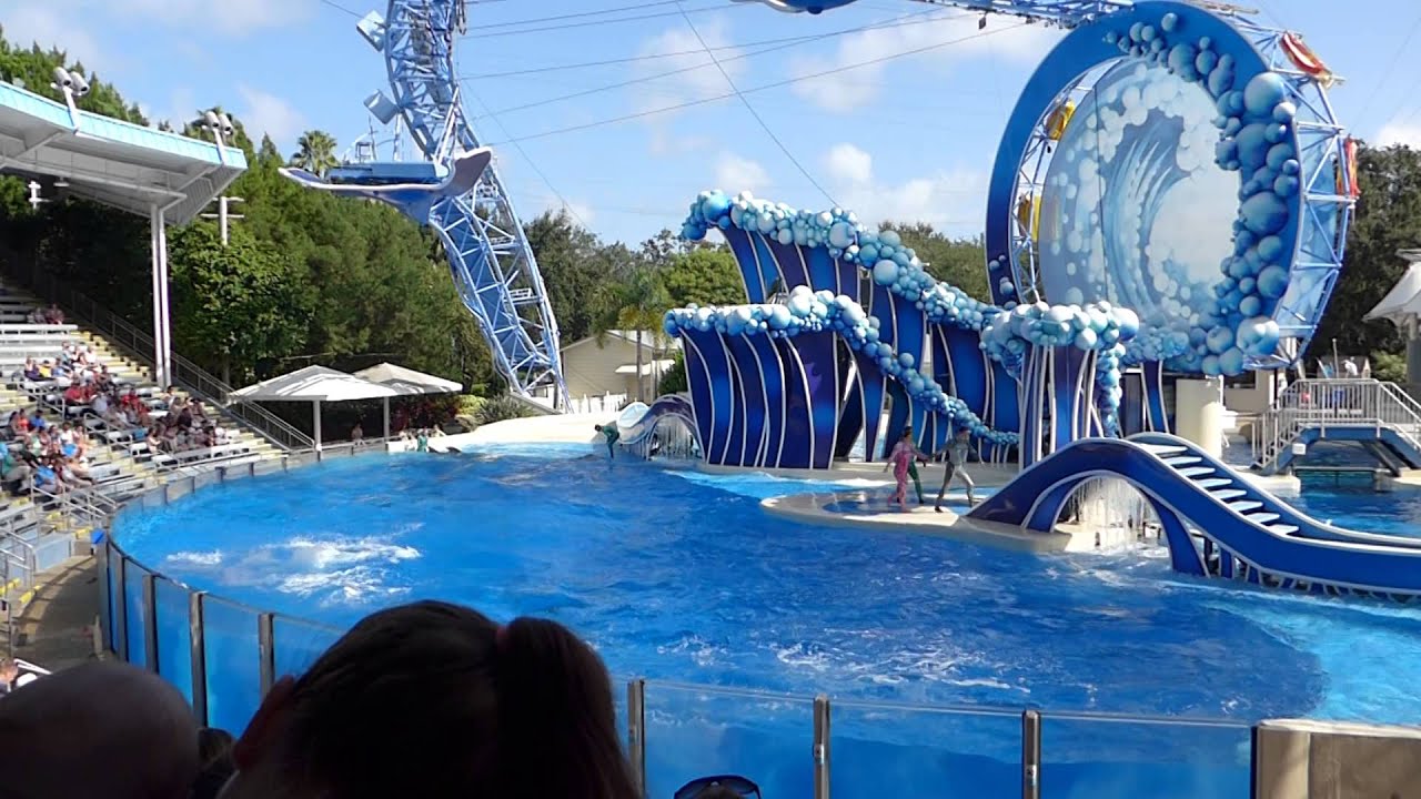 Seaworld - Blue Horizons - Beginning of the show - YouTube