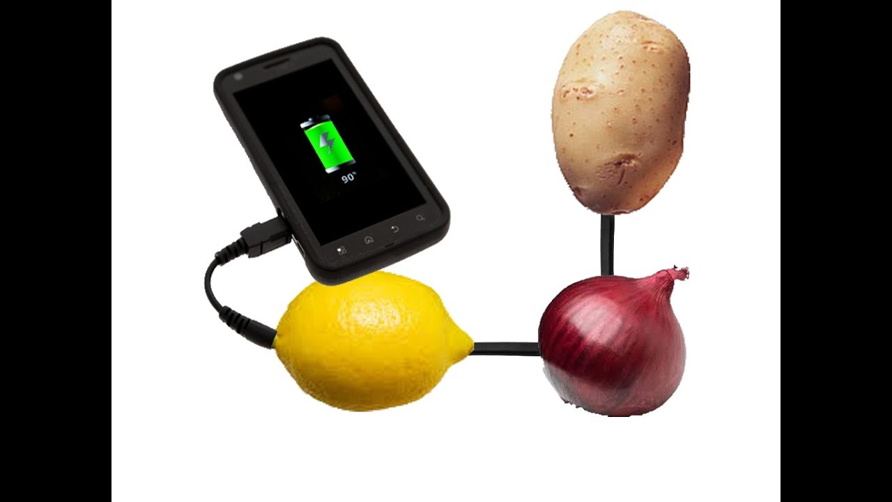 How to make smartphone charger by Potato,Lemon,Onion.It's My Merrit ...