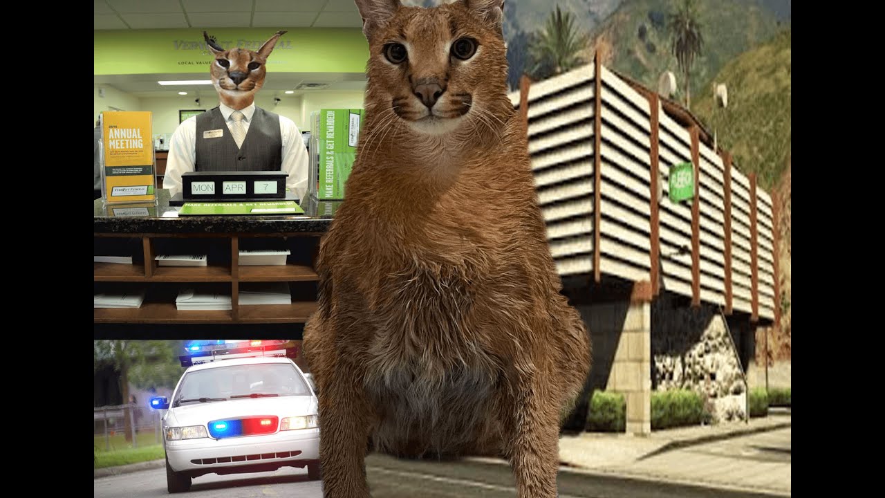 Floppa Robs A Bank - YouTube