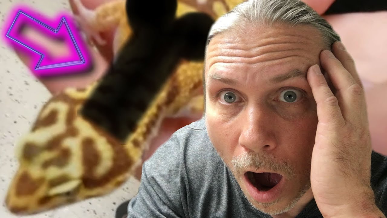 YOU WON"T BELIEVE WHAT WE FOUND!! CRAZY!!| BRIAN BARCZYK - YouTube