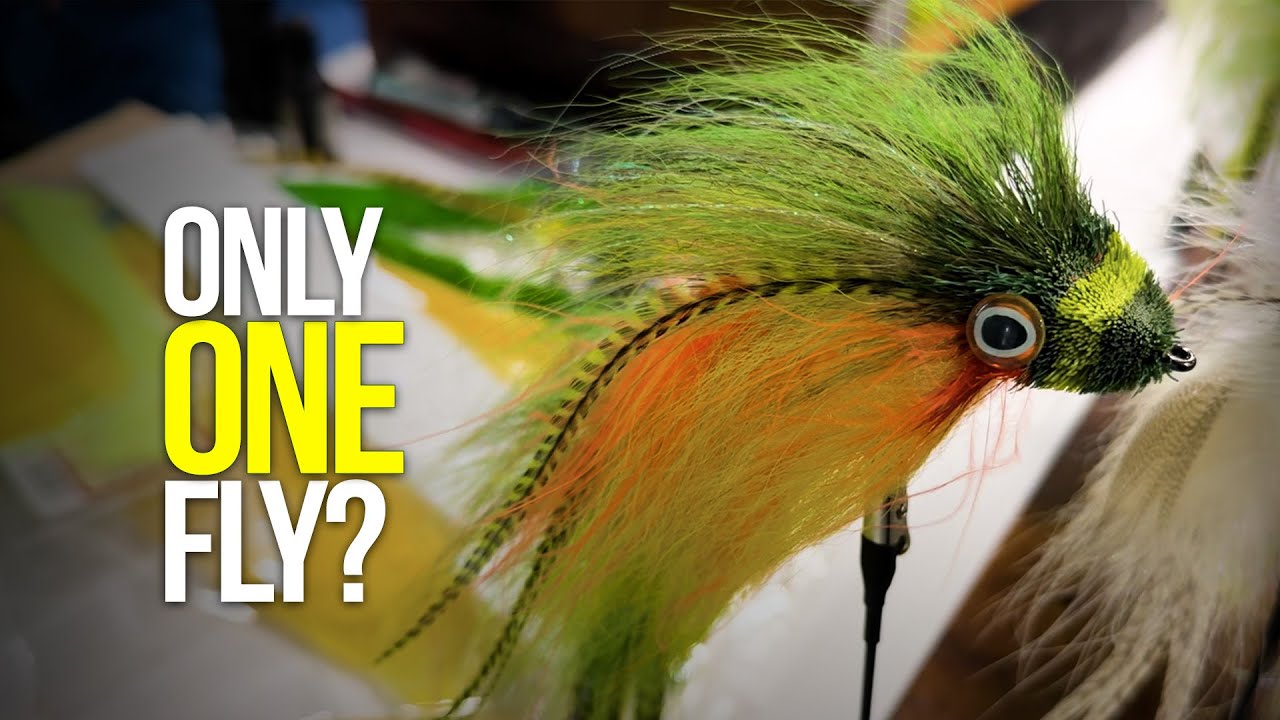 I Asked Fly Anglers One Simple Question at The Fly Fishing Show - YouTube