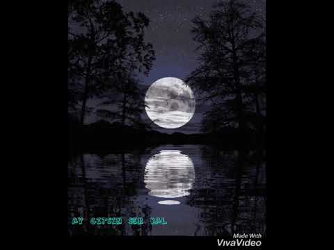 Elin Can Vayiç - sevdanı ver bana