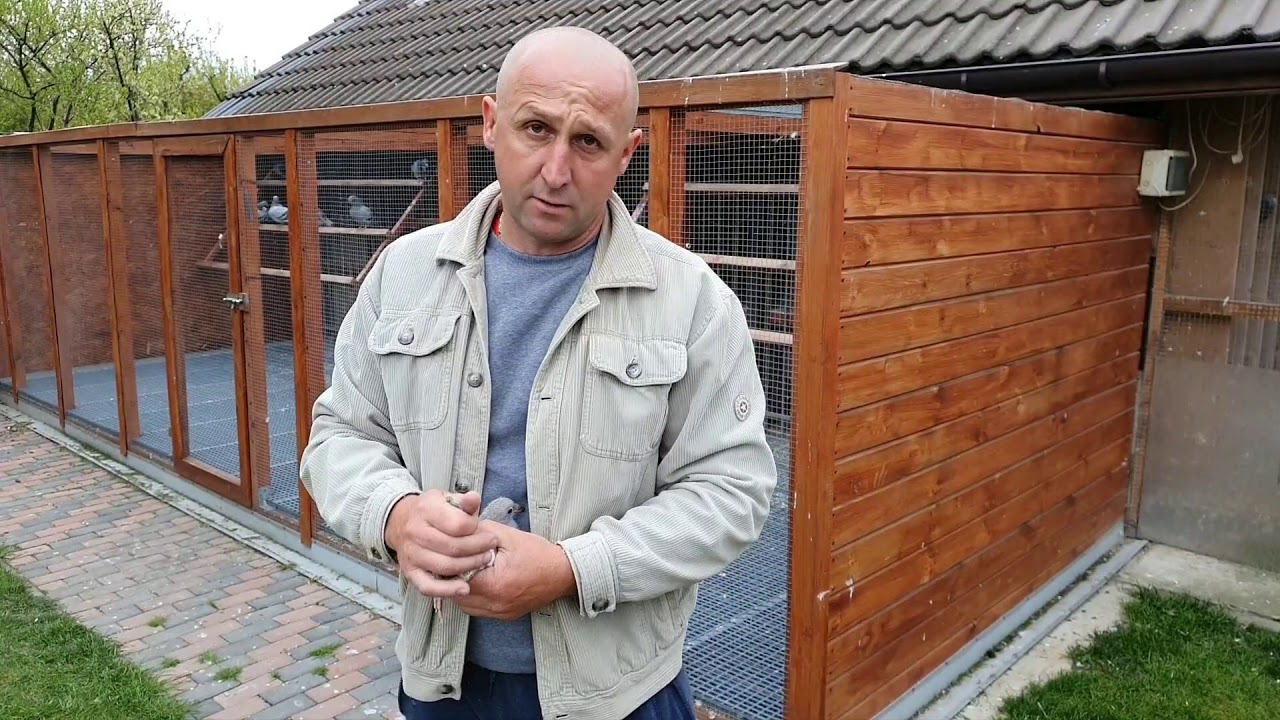 Piotr Bugala - PZHGP 0153 Ruda Ślaska II / Wybitne Młode ! - YouTube