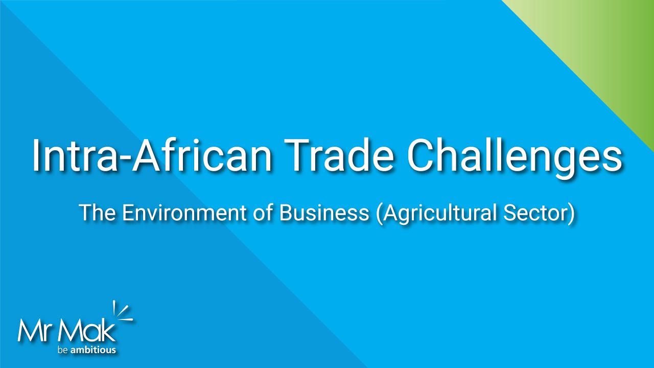 Intra-African Trade Challenges - YouTube