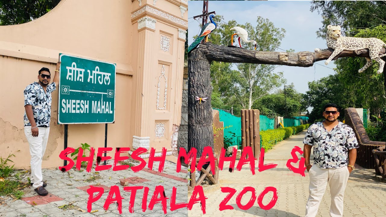 Explore the Majestic Sheesh Mahal in Patiala City - YouTube