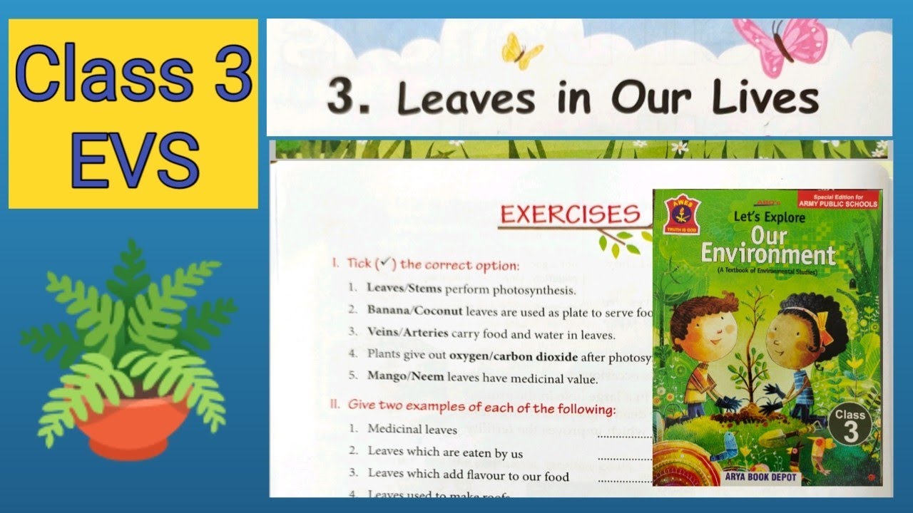 Exercises - Leaves 🌿 in Our Lives 🙋| Class 3 EVS Chapter 3 | Reading and Explanation #aps - YouTube
